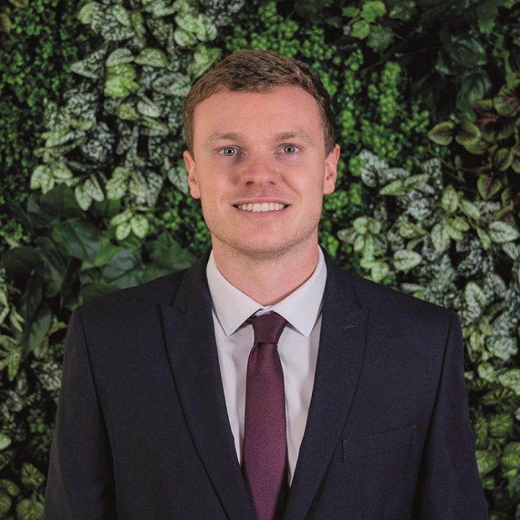 Palm Jebel Ali: A haven for HNWIs and UHNWIs - CW Property Middle East